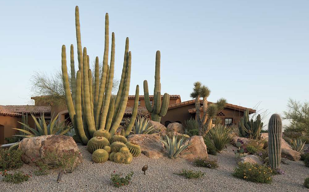 Spring Real Estate Trends in Full Bloom in 2025 - North Central Phoenix ...